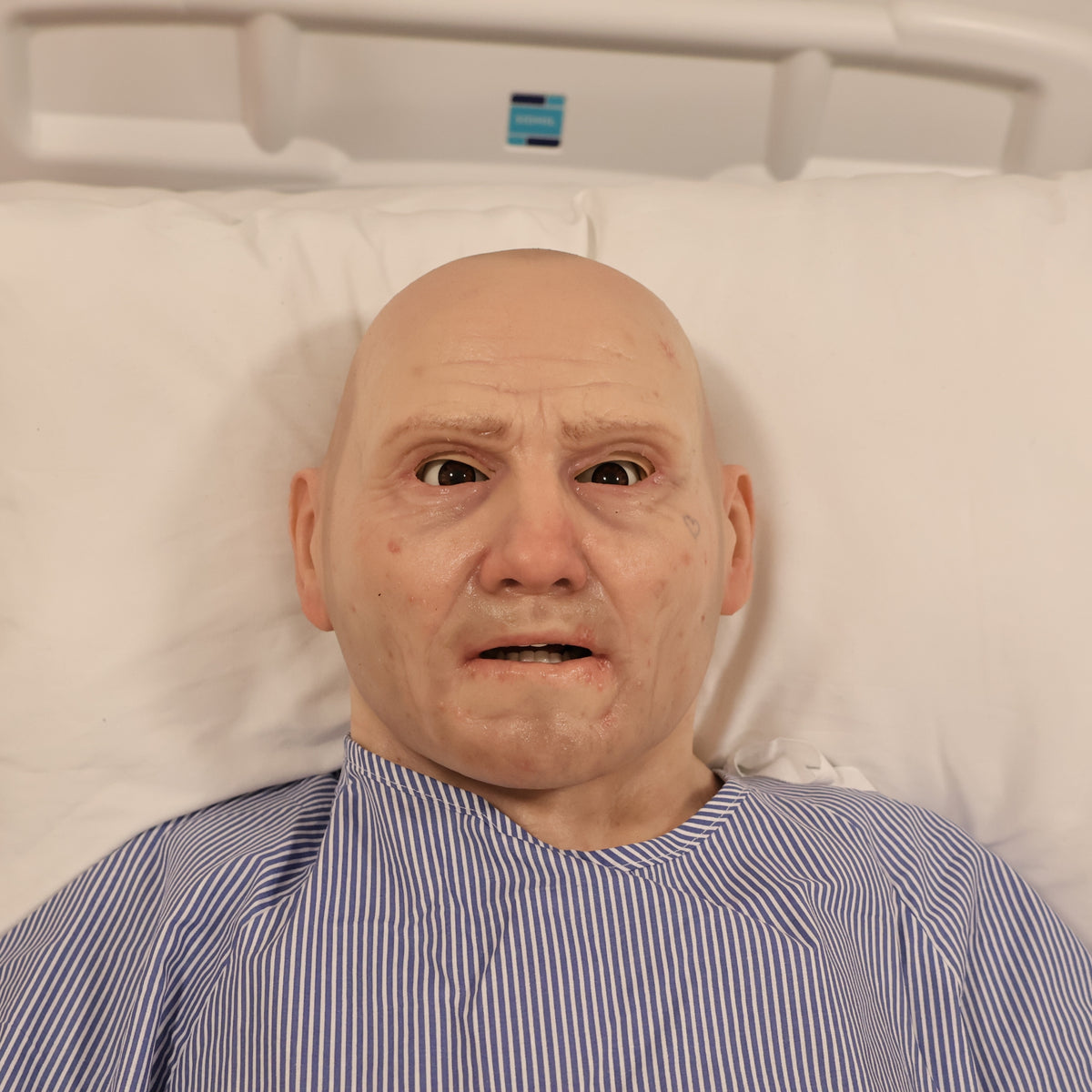 Manikin-Matched Realistic Facemasks for Patient Simulation | Substance ...