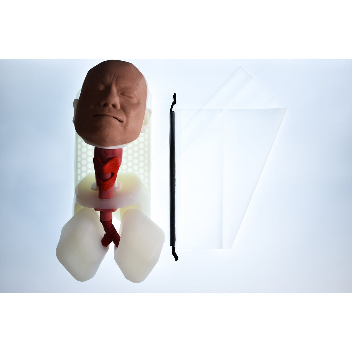 Airway Management Task Trainer — Sim & Skills