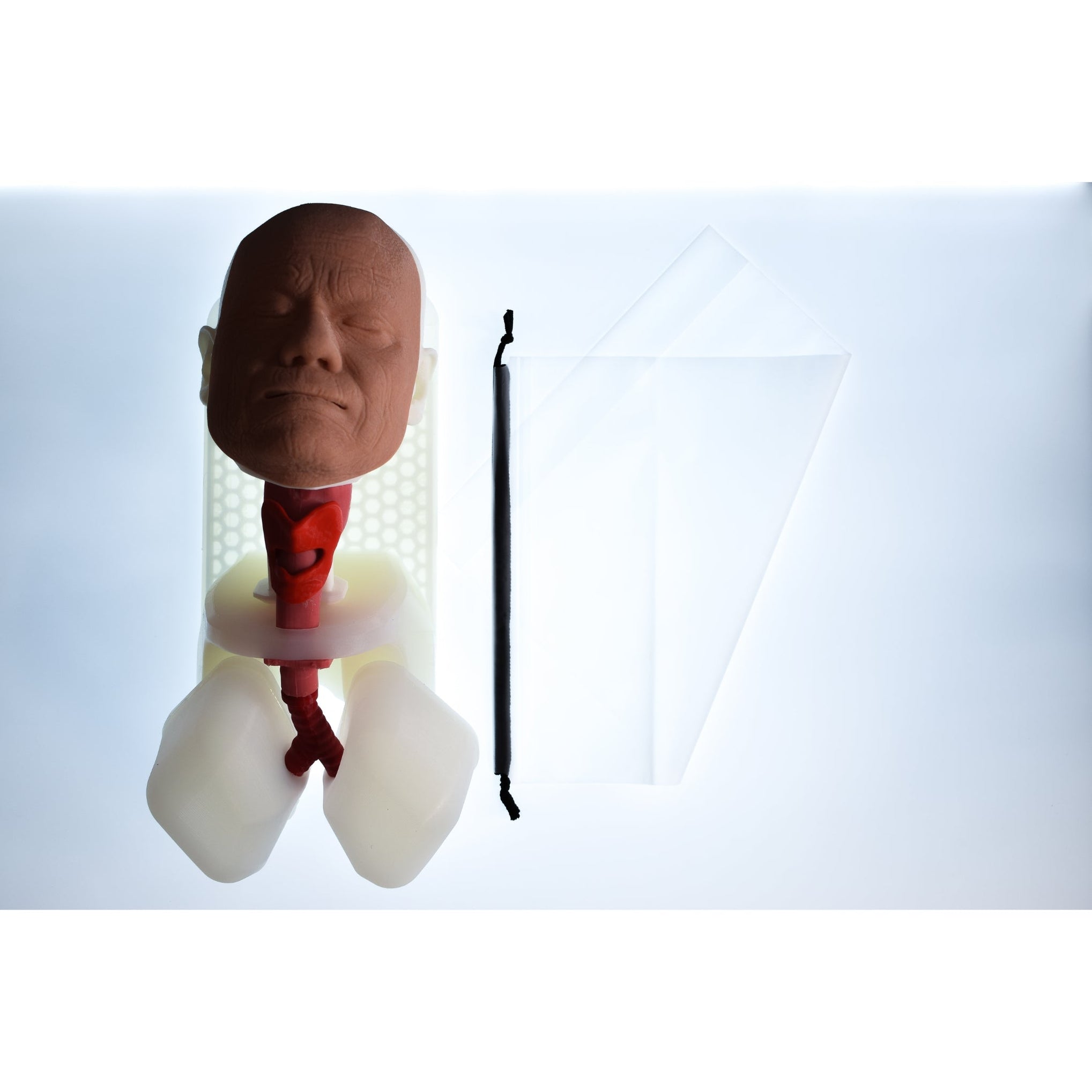 Airway Management Task Trainer — Sim & Skills