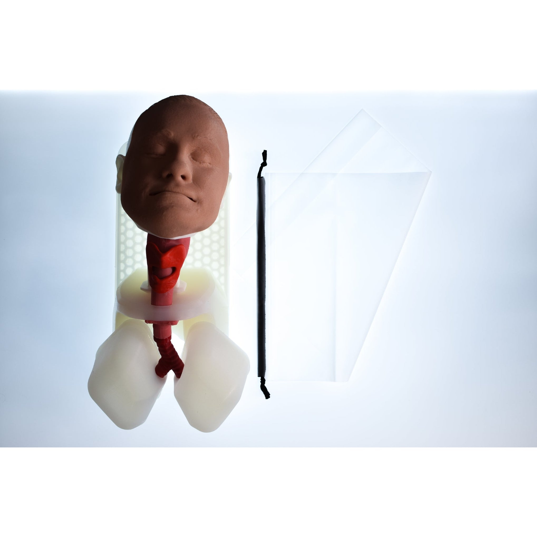 Airway Management Task Trainer — Sim & Skills