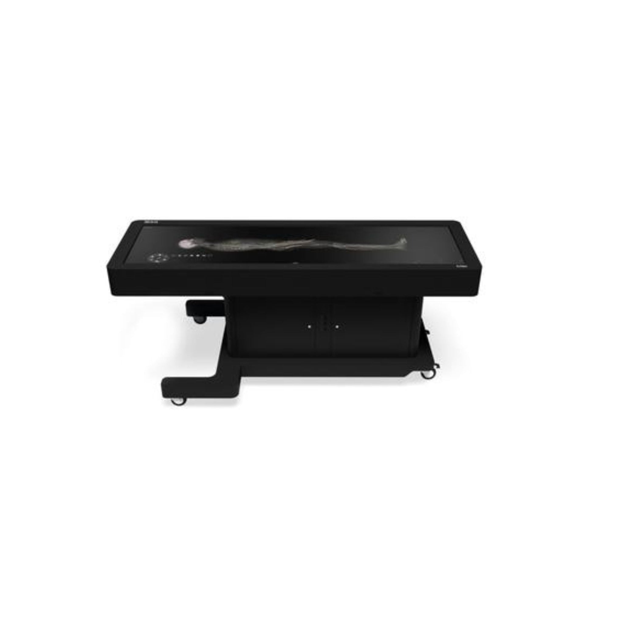 Virtual Dissection Anatomy Table Lifesize 84-inch — Sim & Skills