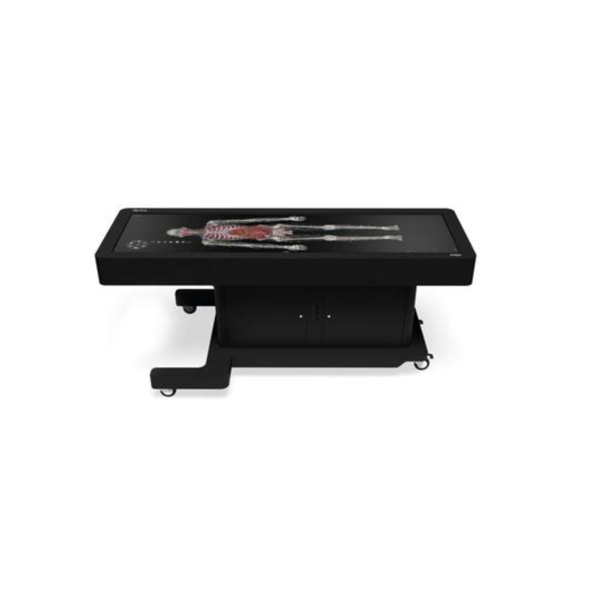 Virtual Dissection Anatomy Table Lifesize 99-inch — Sim & Skills