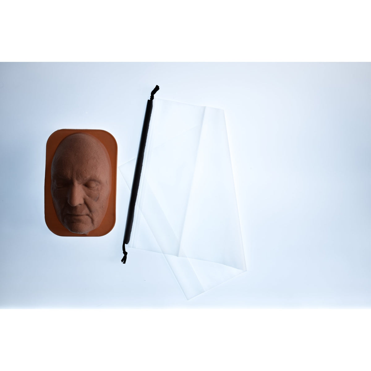 Facial Suturing Task Trainer Only | Sim & Skills