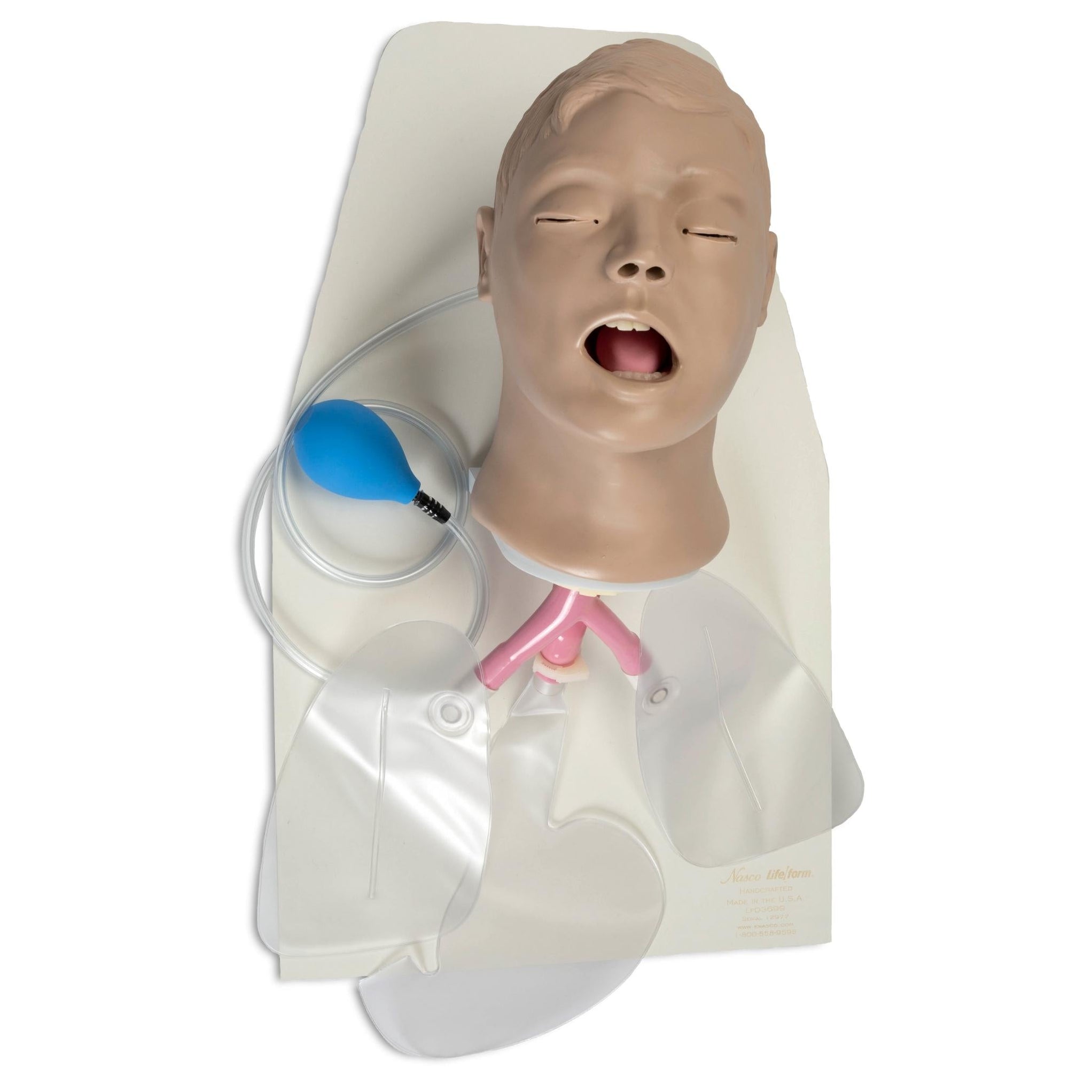 Airway Larry Airway Management Trainer with Stand - Sim & Skills