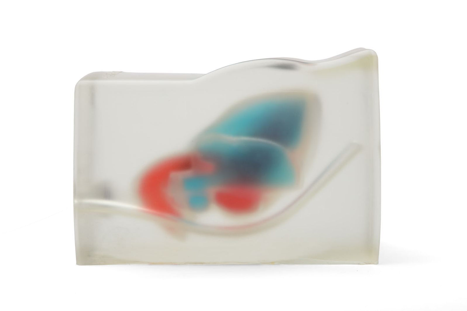 Cardiac Echo Ultrasound Training Model - Sim & Skills