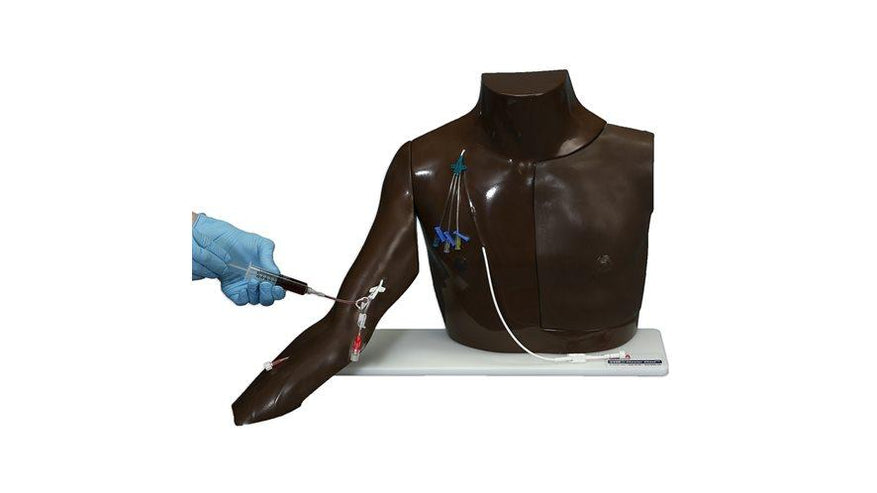 Chester Chest Central Line Trainer - Sim & Skills