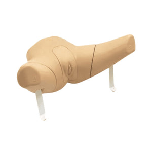Pressure Ulcer/Bedsore Model Set - Sim & Skills