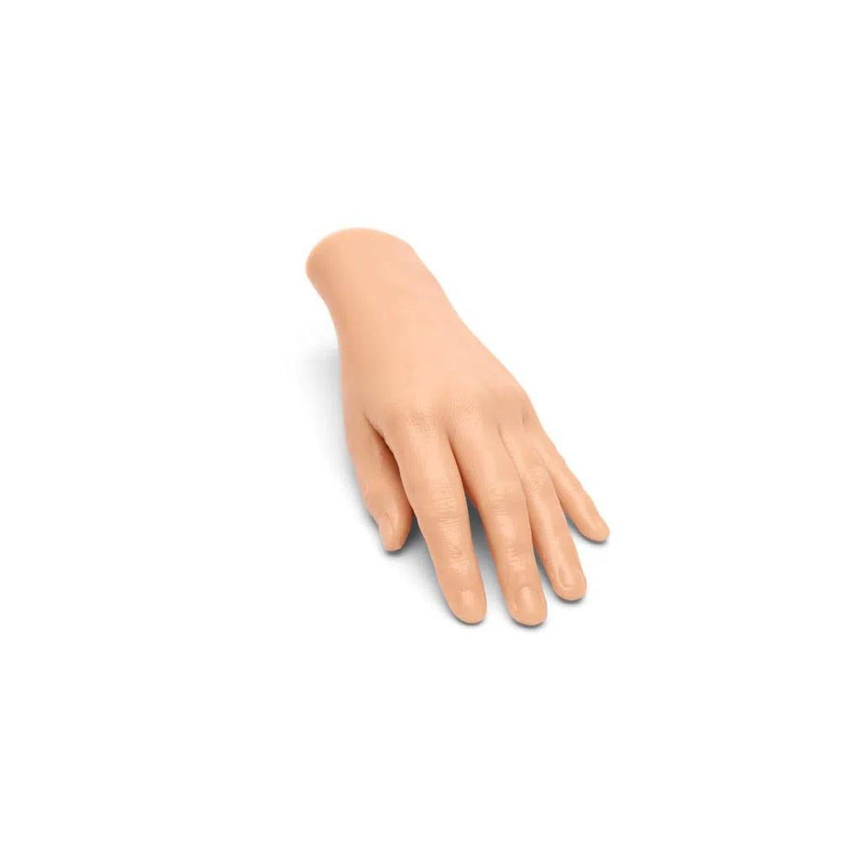 Large Adult Hand - Sim & Skills