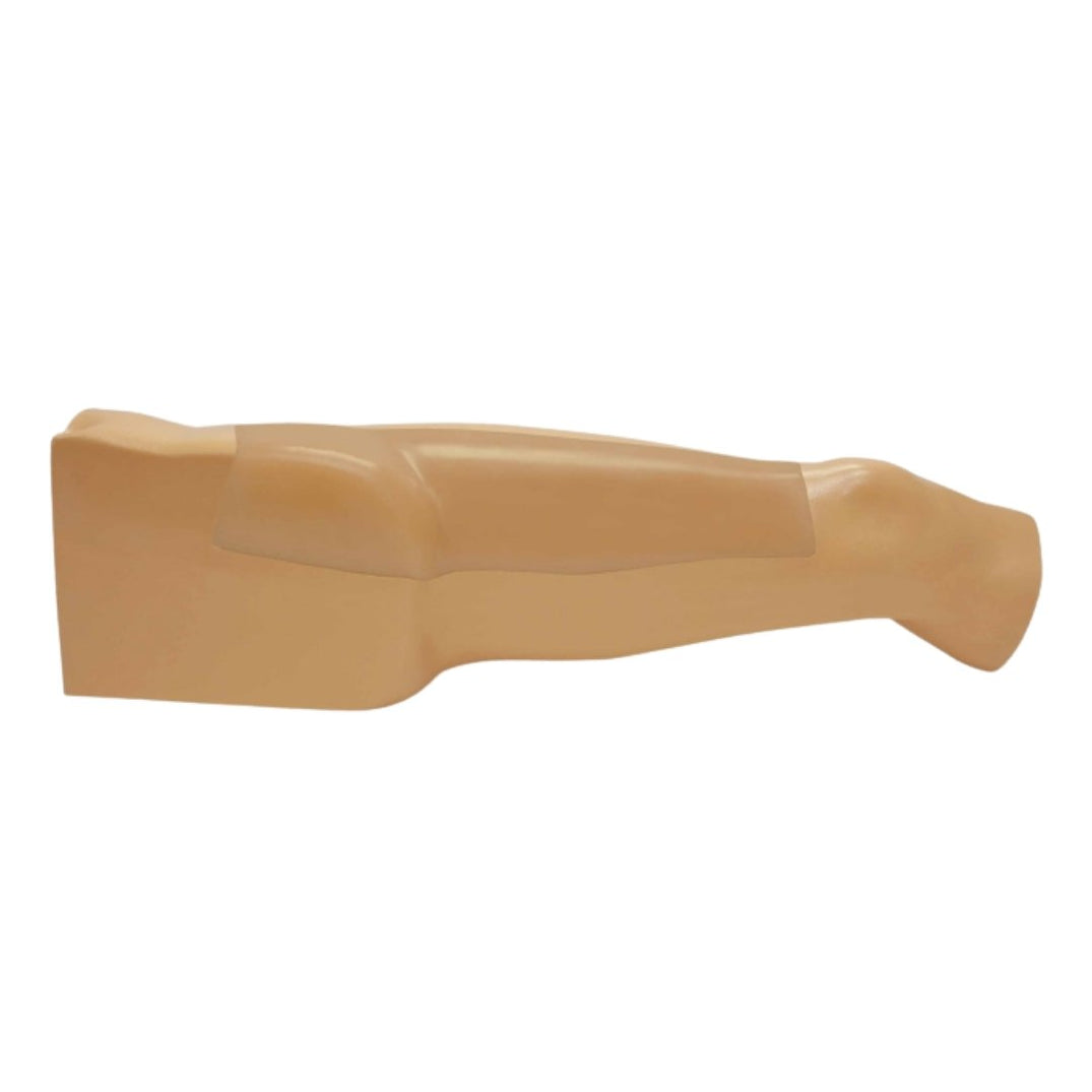 Ultrasound Phantom - Realistic Ultrasound Simulators for Sale | Sim ...