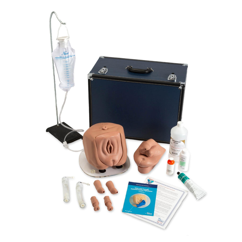 Catheter Model - Order a Catheterisation Simulator Online — Sim & Skills
