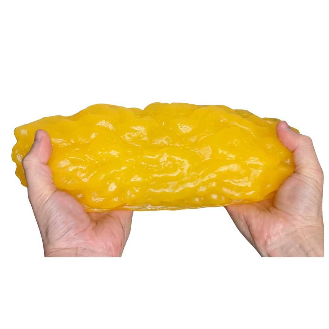 Fat Replicas - Highly Realistic Human Fat Replica Sets — Sim & Skills