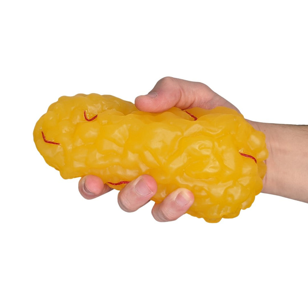 Fat Replicas - Highly Realistic Human Fat Replica Sets — Sim & Skills