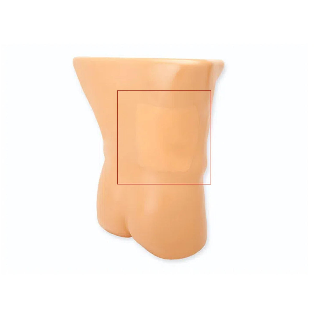 Renal Biopsy Tissue Replacement Insert - Sim & Skills