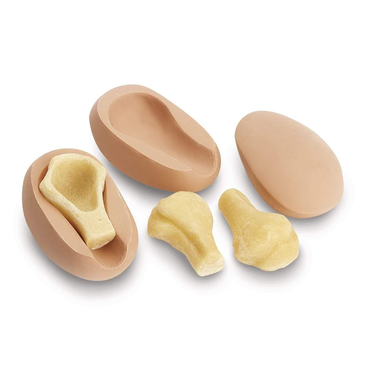 Simulaids® Humerus Injection Pads and Bones - Sim & Skills
