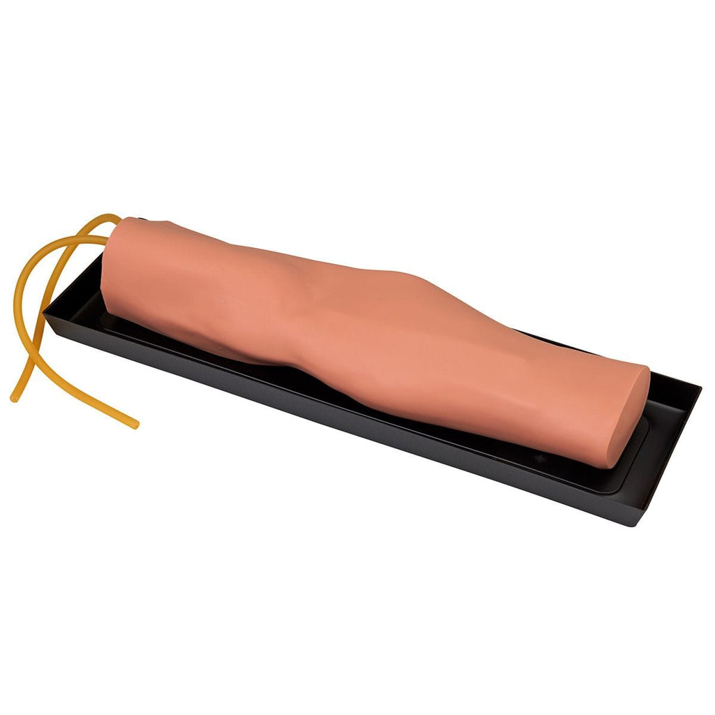 Venous Training Arm - Shop Venepuncture Training Arms Online | Sim & Skills