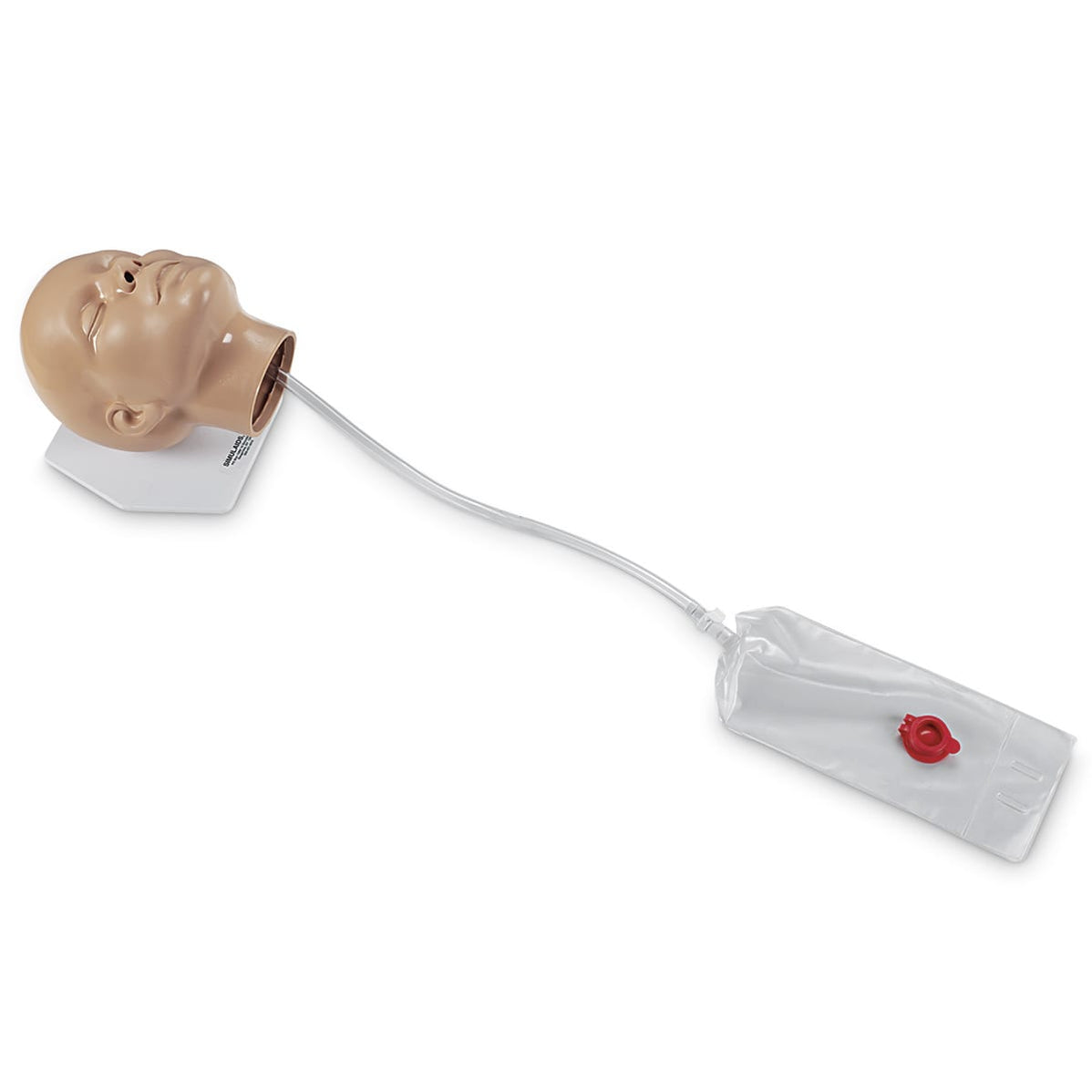 Nasogastric Tube Insertion - Order Nasogastric Intubation Model Online ...